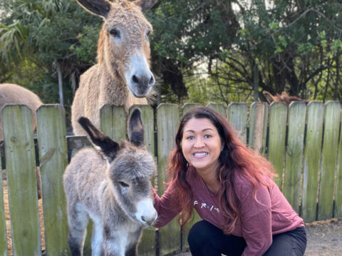 About - Romelia Farms