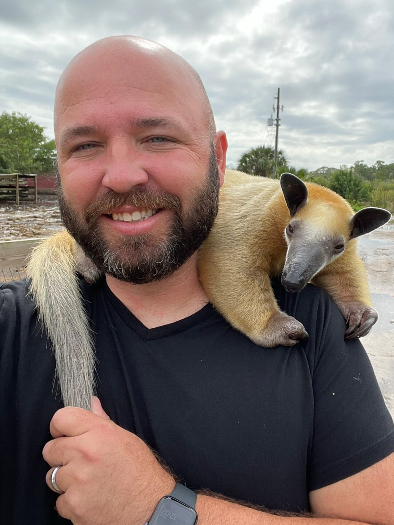 About - Romelia Farms