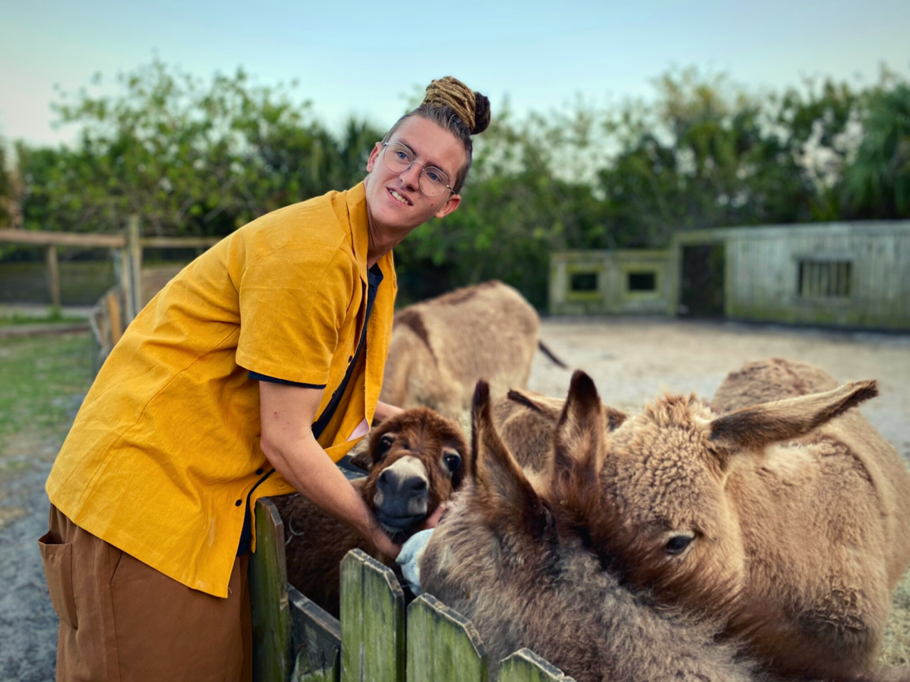 Ticket - Romelia Farms