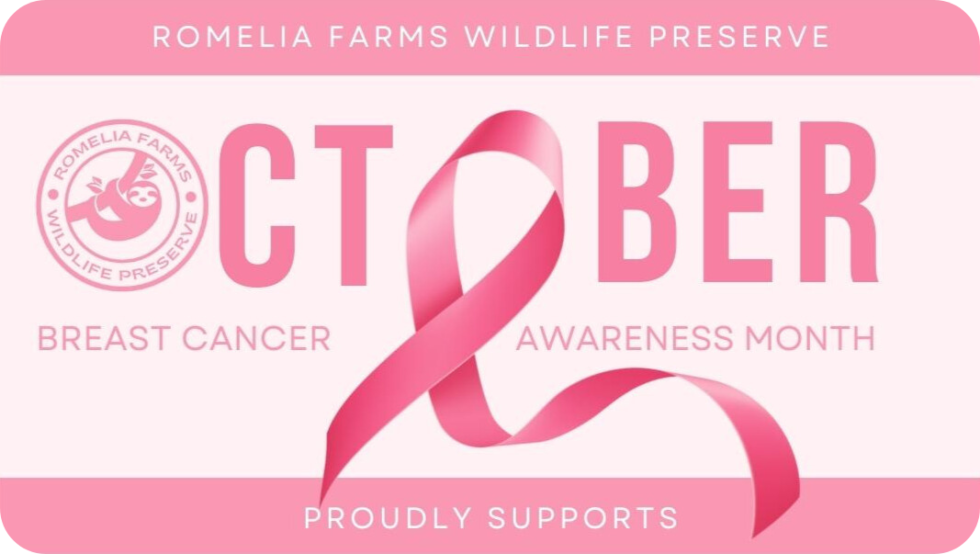 Petting Farm & Wildlife Preserve - Romelia Farms